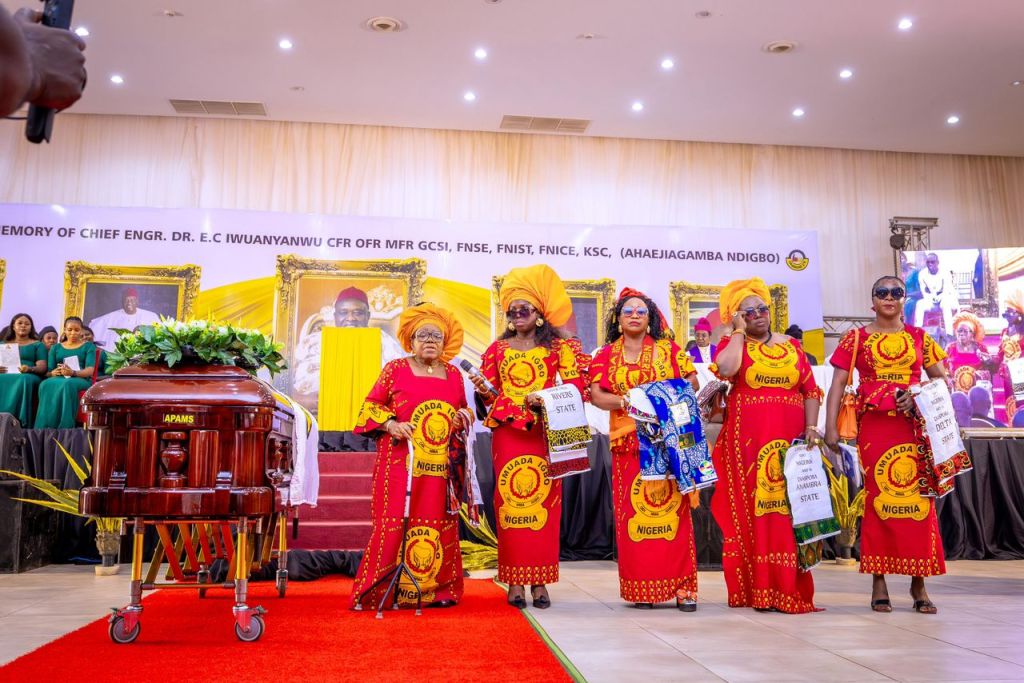 Iwuanyanwu, championed national unity, built bridges in troubled times ...